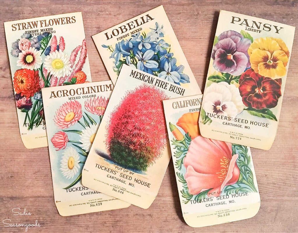 Vintage Seed Packets in an Antique Window Frame