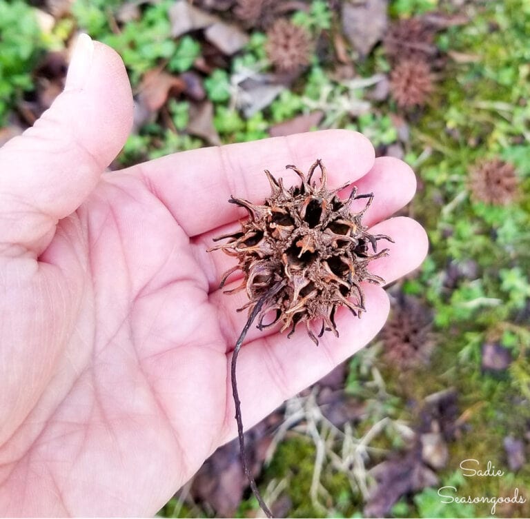 Chive Blossoms from Sweet Gum Tree Balls for a fun Nature Craft