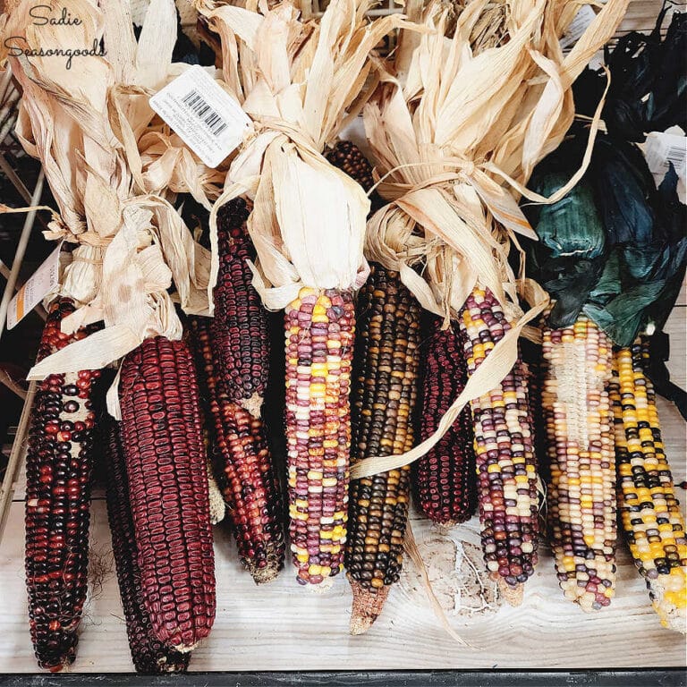 Fall Candy Dish and Indian Corn Decorations for Thanksgiving