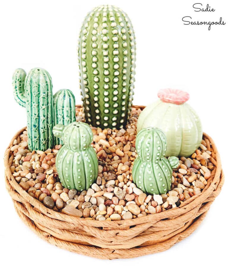 Cactus Garden with Vintage Salt and Pepper Shakers