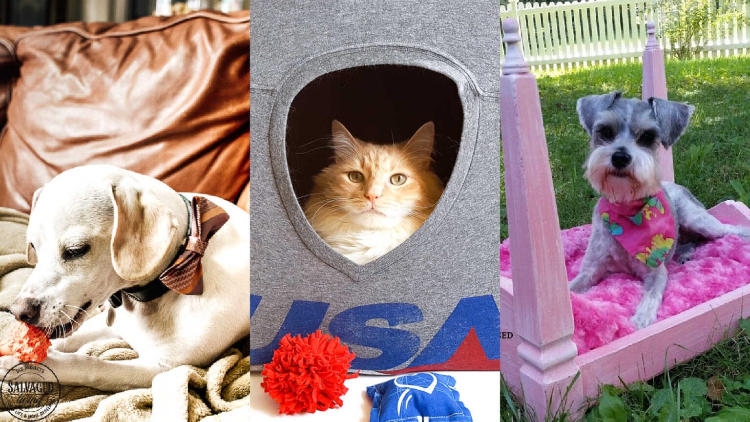 DIY Projects for Your Cats and Dogs: Toys, Beds, and More