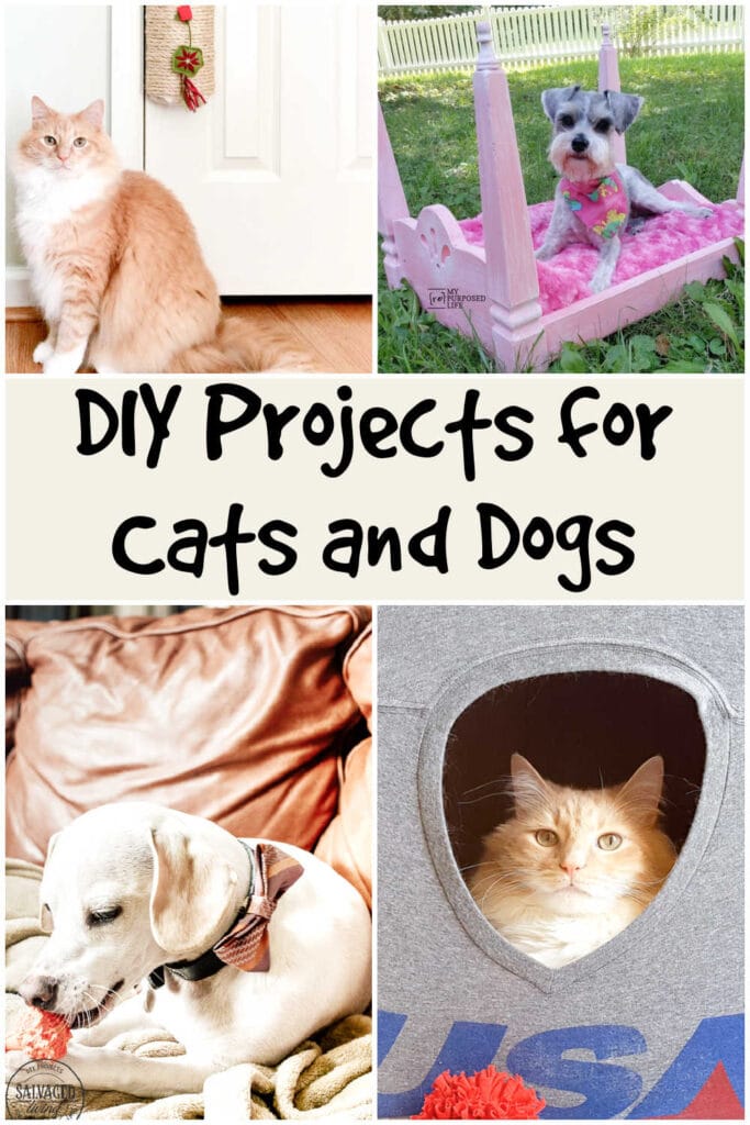 DIY Projects for Your Cats and Dogs: Toys, Beds, and More