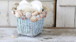 Craft Ideas for a Beachcomber: What to Do with Shells and More