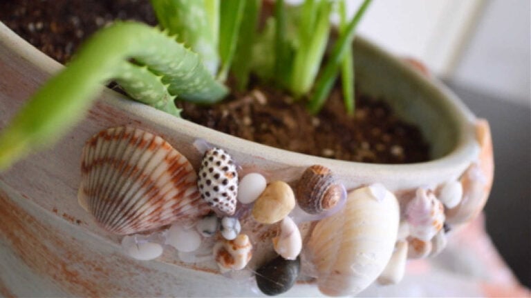Craft Ideas for a Beachcomber: What to Do with Shells and More