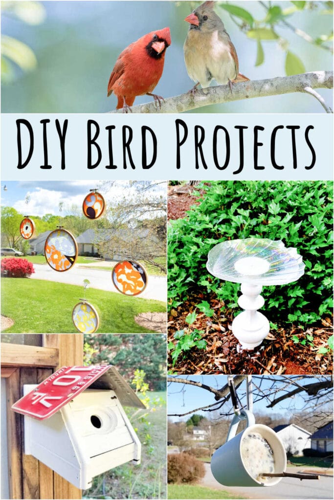 DIY and Upcycling Projects for Backyard Birds