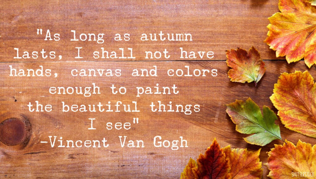 An Autumn Frame of Mind: Fall Quotes to Fall in Love With