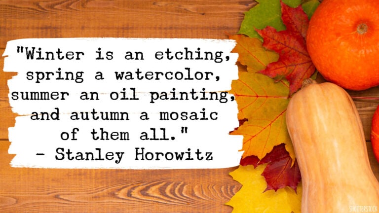 An Autumn Frame of Mind: Fall Quotes to Fall in Love With