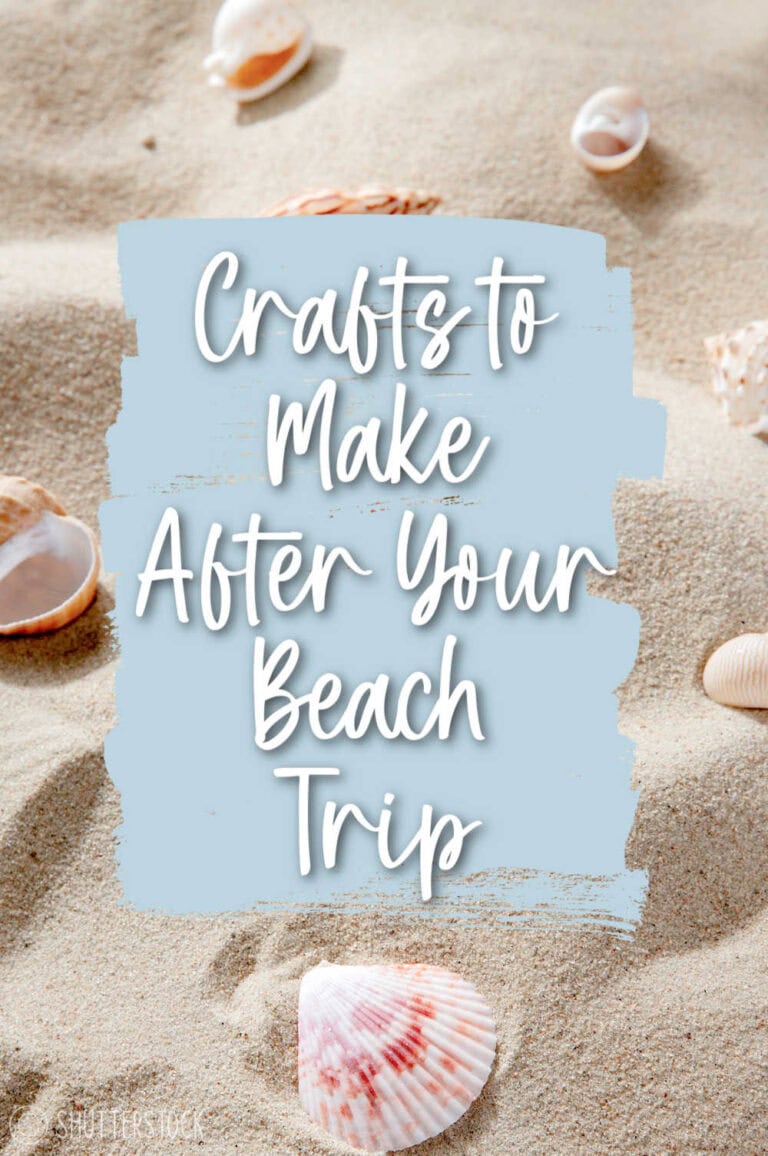 Craft Ideas for a Beachcomber: What to Do with Shells and More