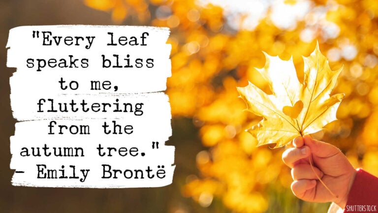 An Autumn Frame of Mind: Fall Quotes to Fall in Love With