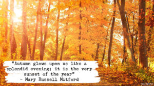 An Autumn Frame of Mind: Fall Quotes to Fall in Love With