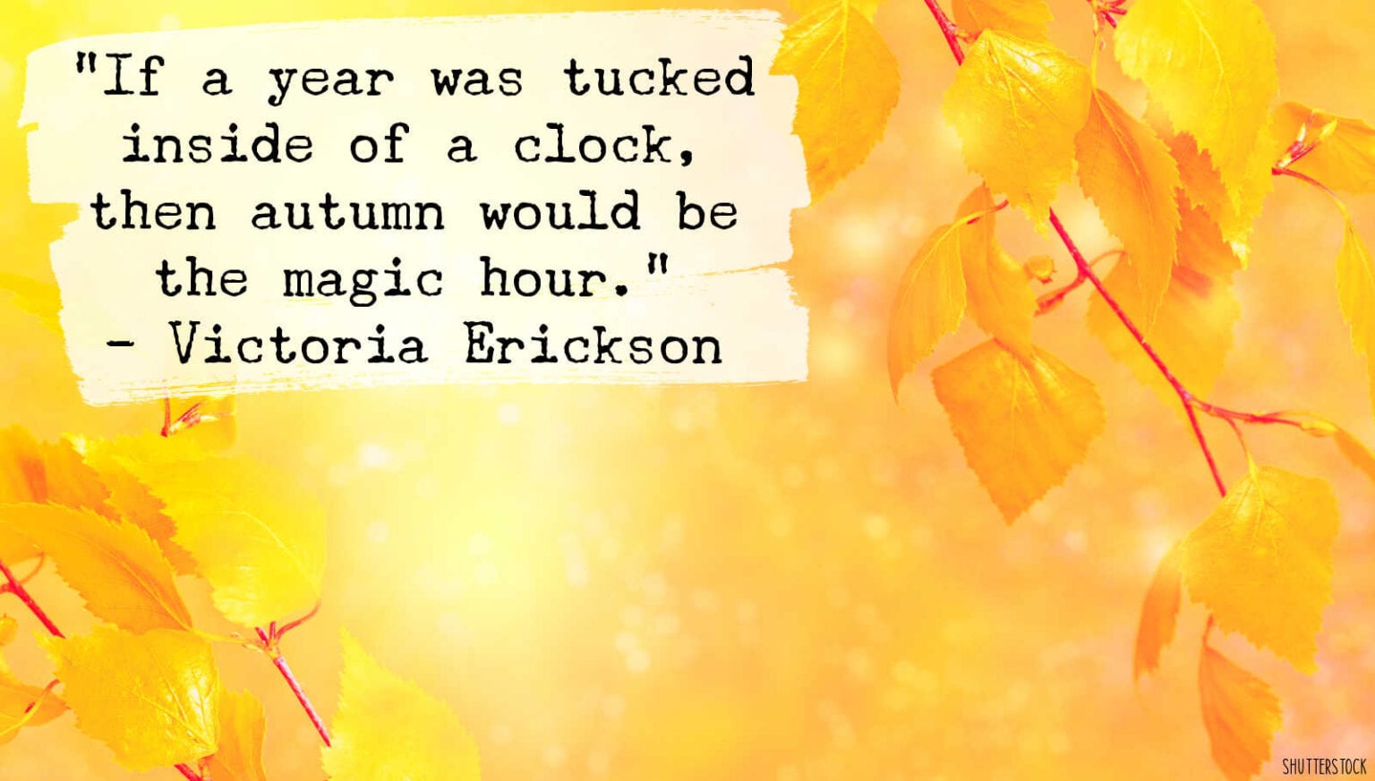 An Autumn Frame of Mind: Fall Quotes to Fall in Love With