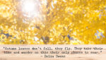 An Autumn Frame of Mind: Fall Quotes to Fall in Love With