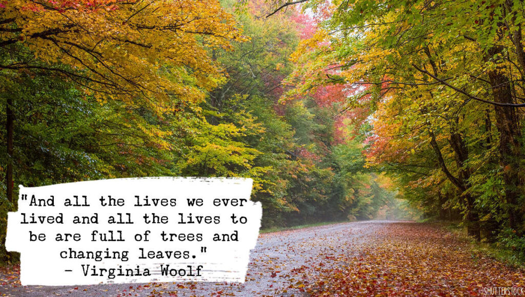 An Autumn Frame of Mind: Fall Quotes to Fall in Love With