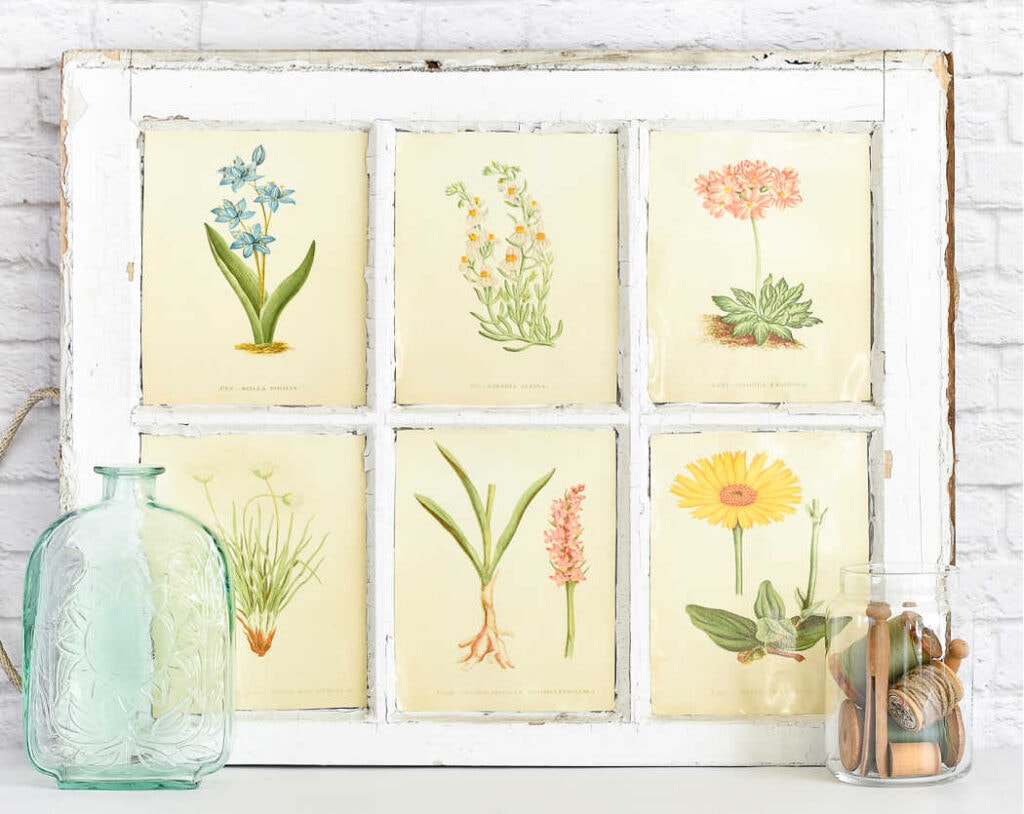 Botanical Decor Ideas with These DIY and Upcycled Projects