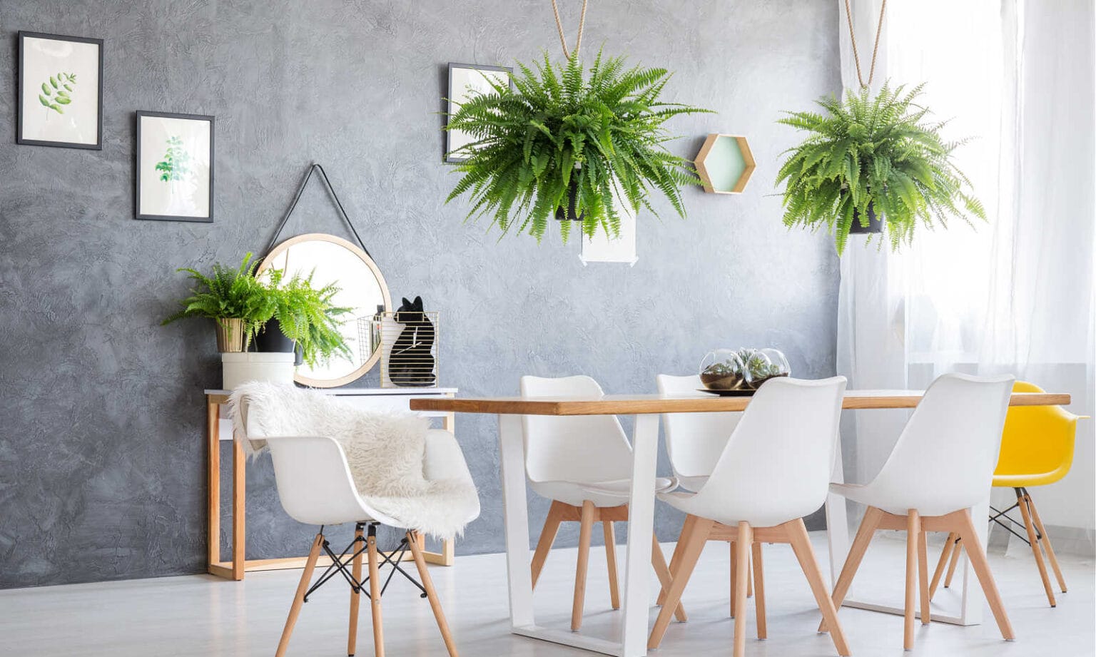 10 Hanging Plants To Add Style and Texture to Your Home