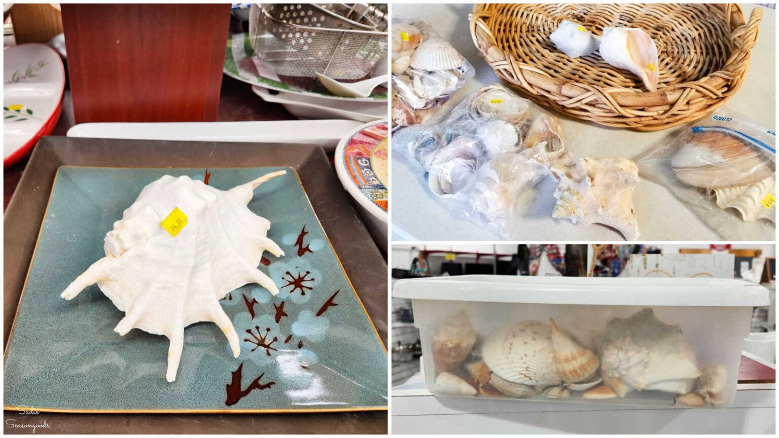 Craft Projects with Shells You Find at the Beach (or Thrift Stores!)