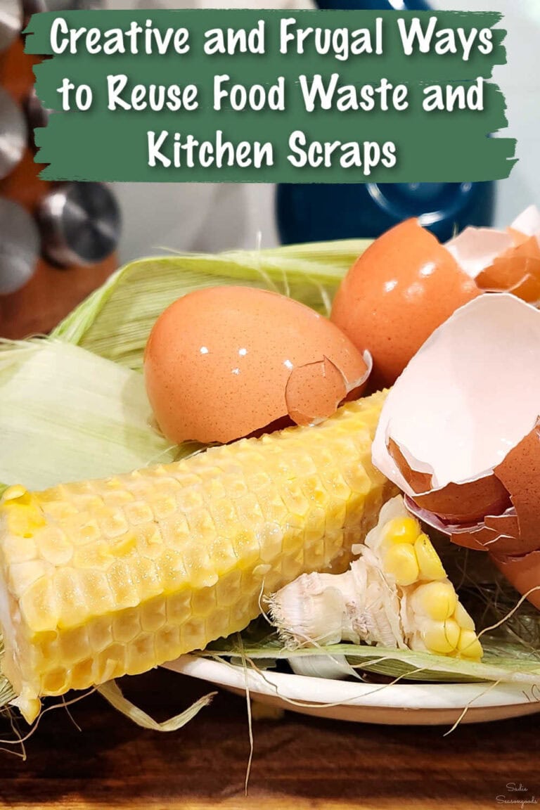 Fresh and Inventive Ways to Reuse Food Scraps and Waste Less